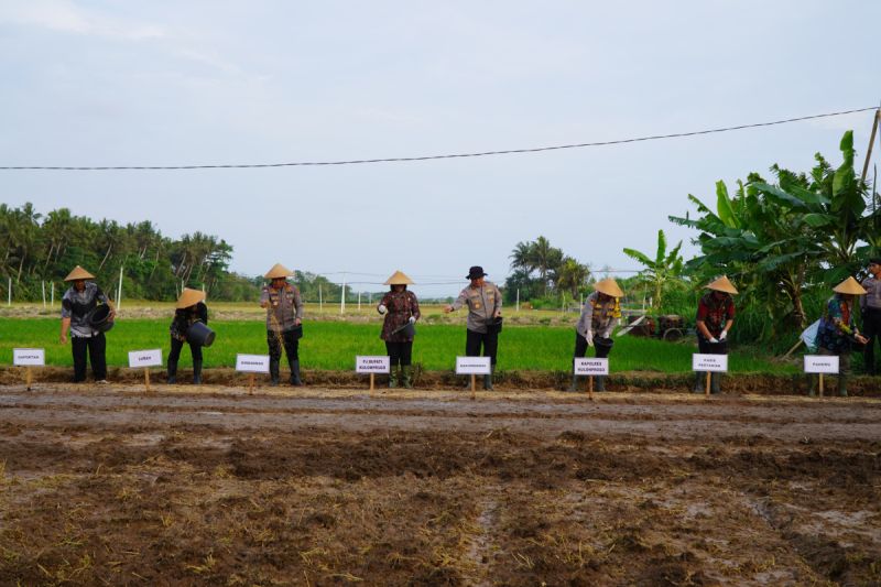 Kakorbinmas Baharkam sebut Polri aktif bantu ketahanan pangan nasional ...